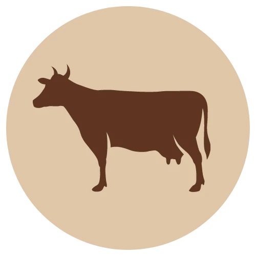 Naudan Rasvarouhe 1kg pakaste Fanimal - Eläintarvikeliike Voimaeläin ...