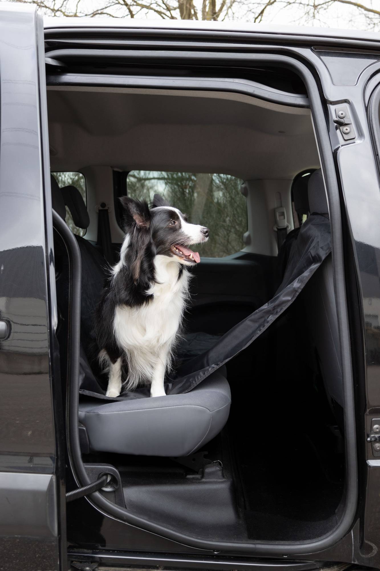 Takapenkinsuoja Jort 158x128 musta Flamingo - Eläintarvikeliike ...